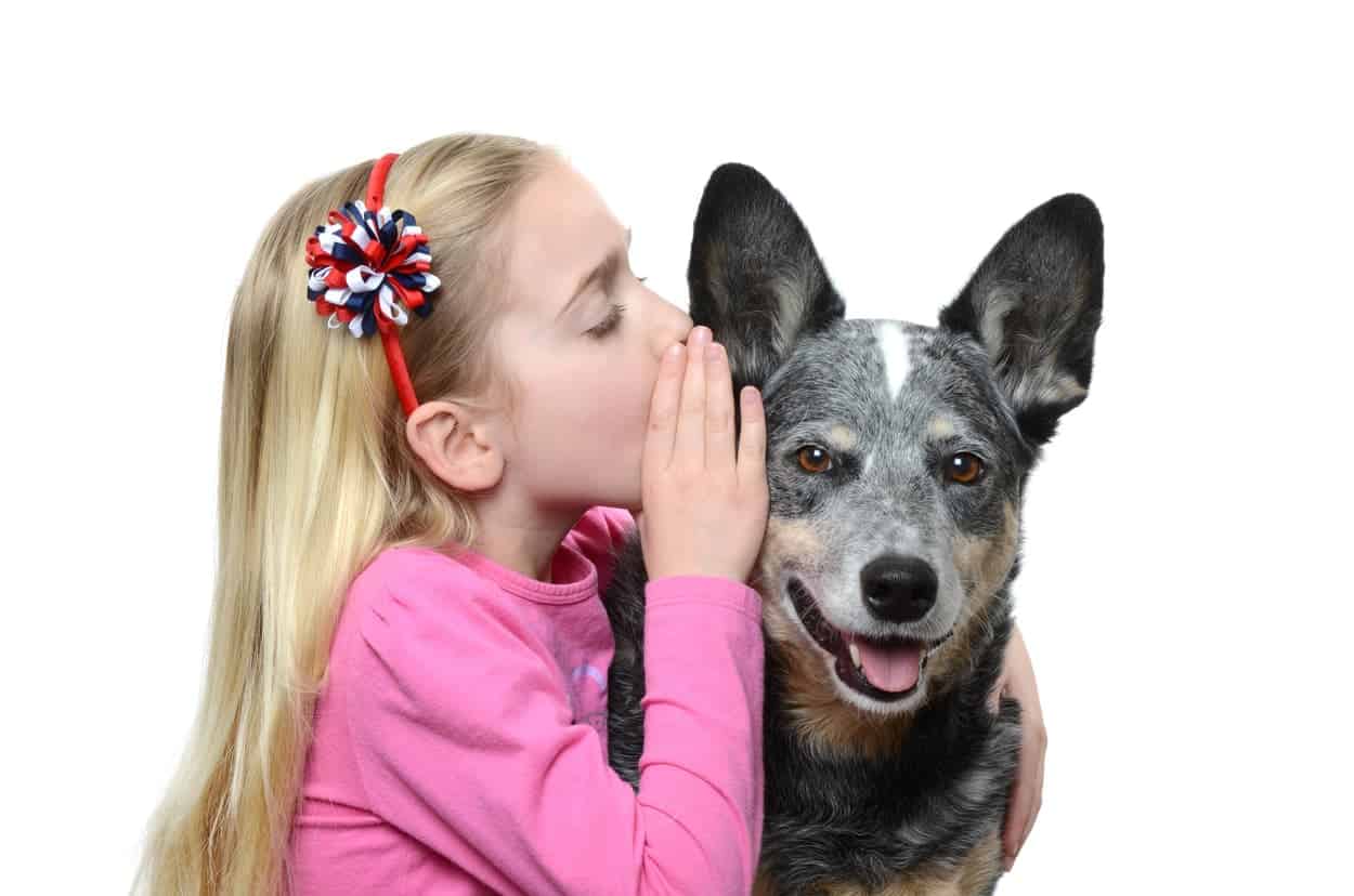 Can Dogs Understand Human Conversation