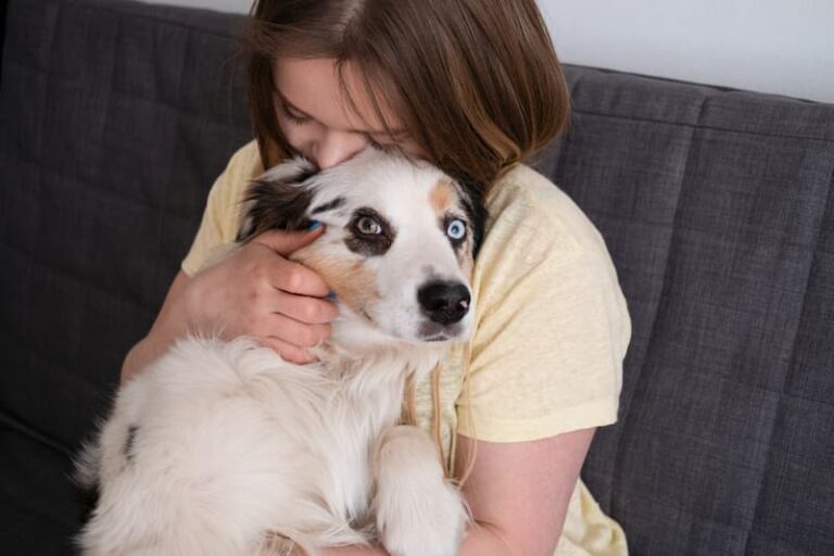 Understanding the 3-3-3 Rule to Help a Rescue Dog Adjust